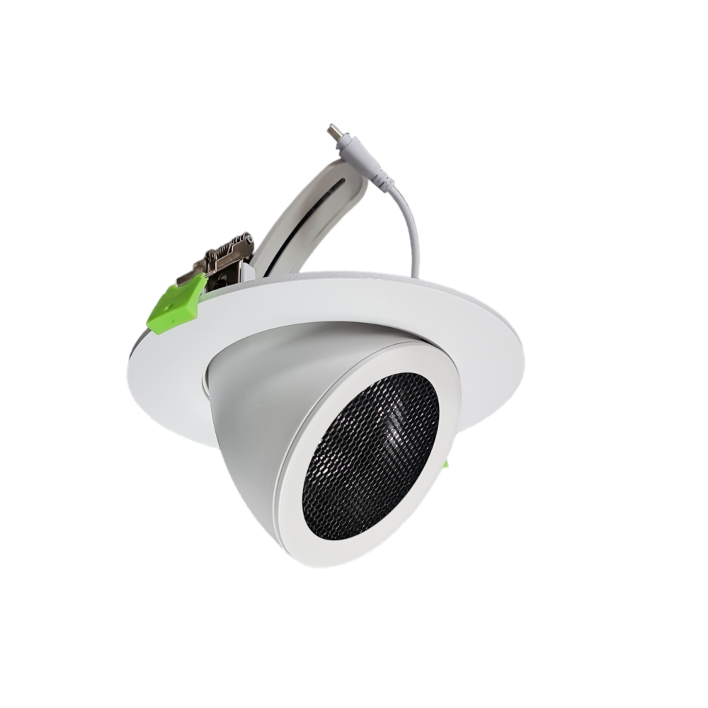 Led Integrated Downlight : 38W LED Tilt Recessed Ceiling ...